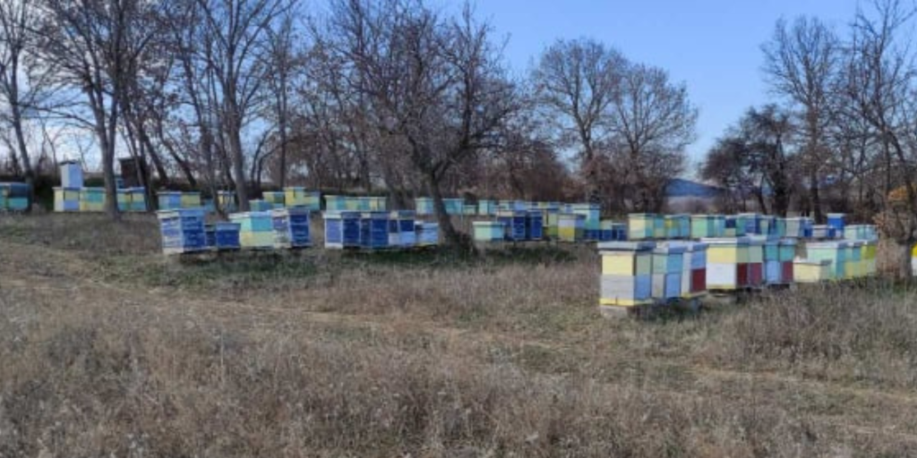 Polirural H2020 - The Best Practices Atlas: Dragan Mishevski - AgFutura