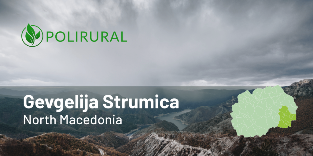 Polirural H2020 - Drivers analysis Pilot Strumica-Gevgelija (NMK) - AgFutura