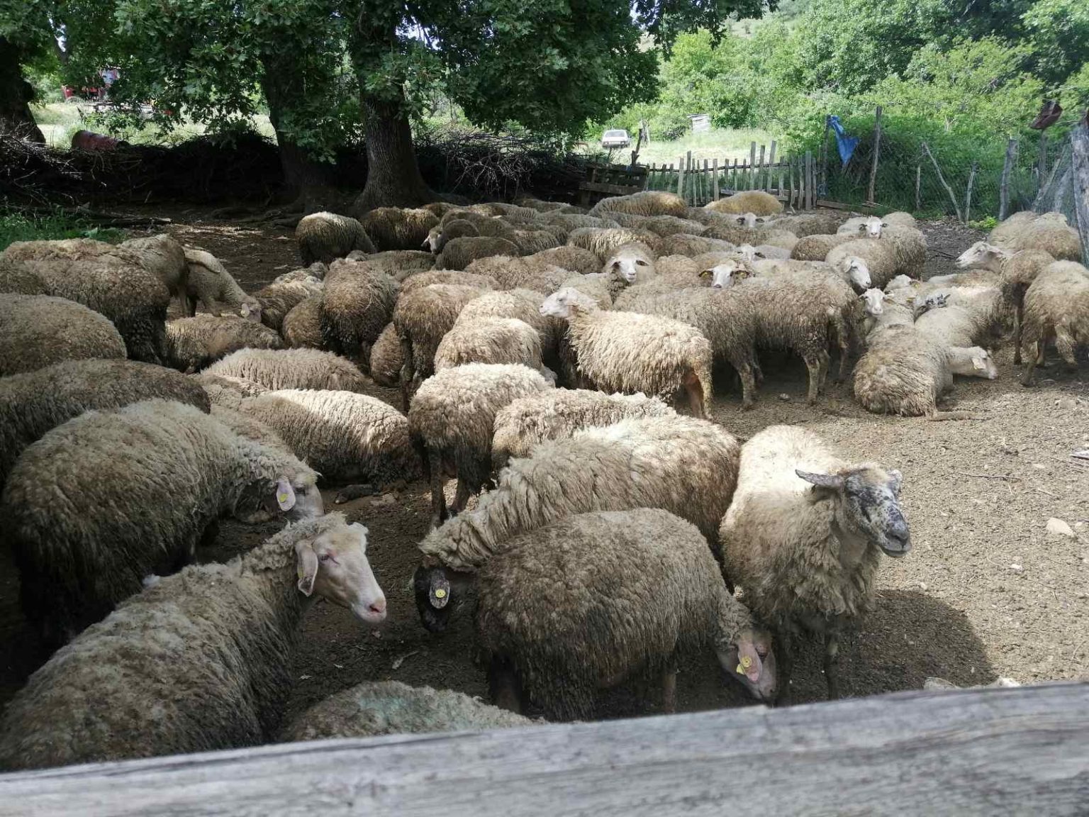 Polirural H2020 - The Best Practices Atlas: Miroslav Tasevski - AgFutura